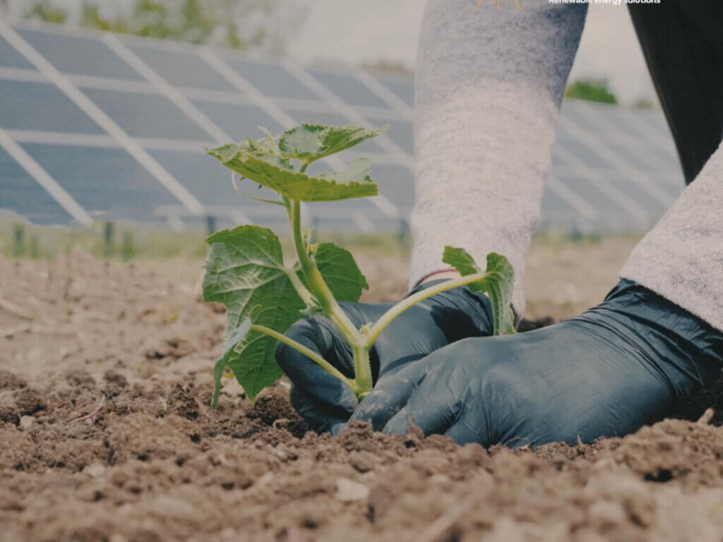 Clean Energy Solutions | Sun Africa